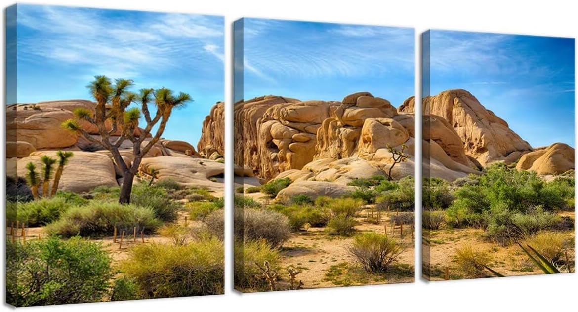 Amazon.com: Boulders and Joshua Trees in Joshua Tree National Park Wall ...