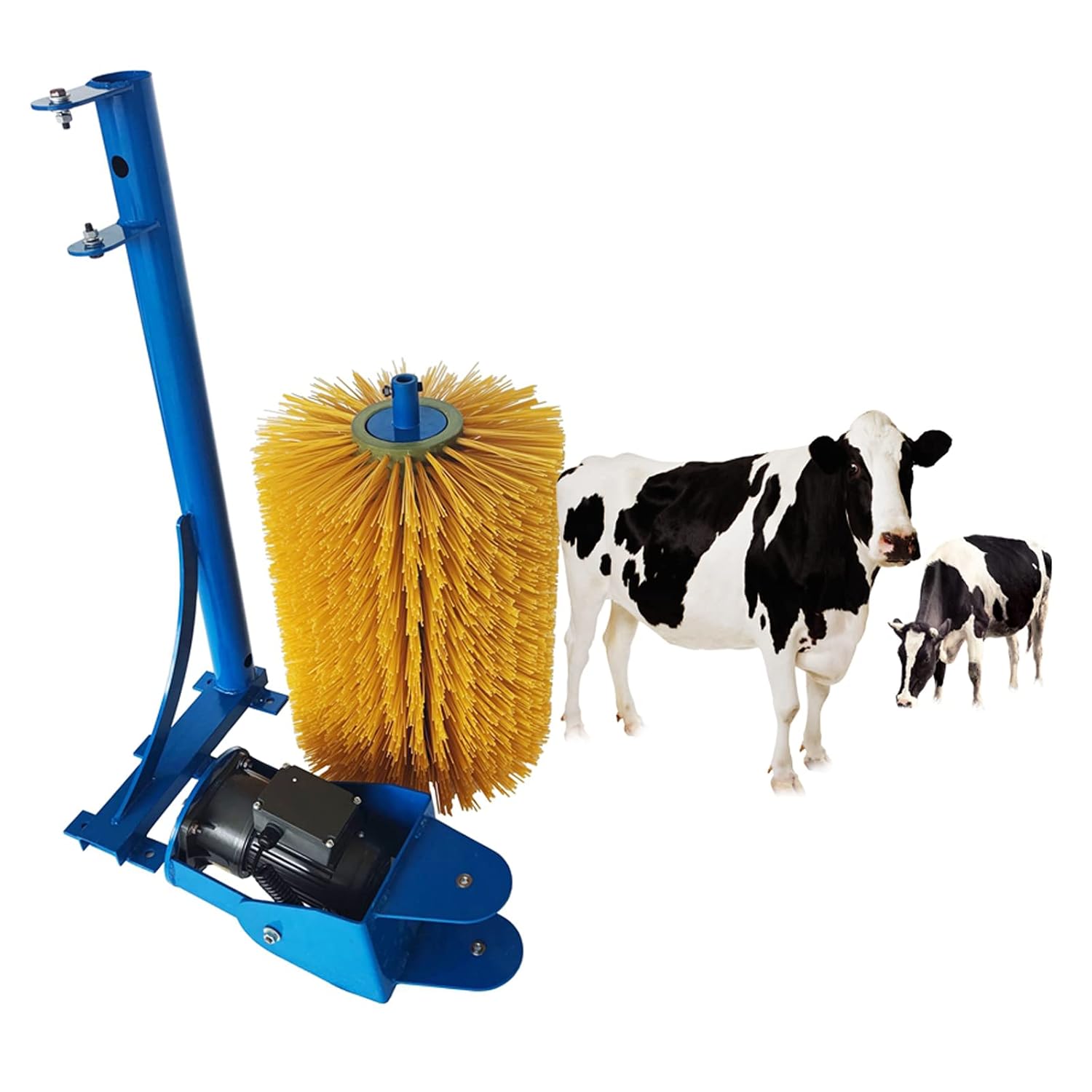 Amazon.com: INTBUYING Automatic Electric Cow Brush for Dairy/Livestock ...