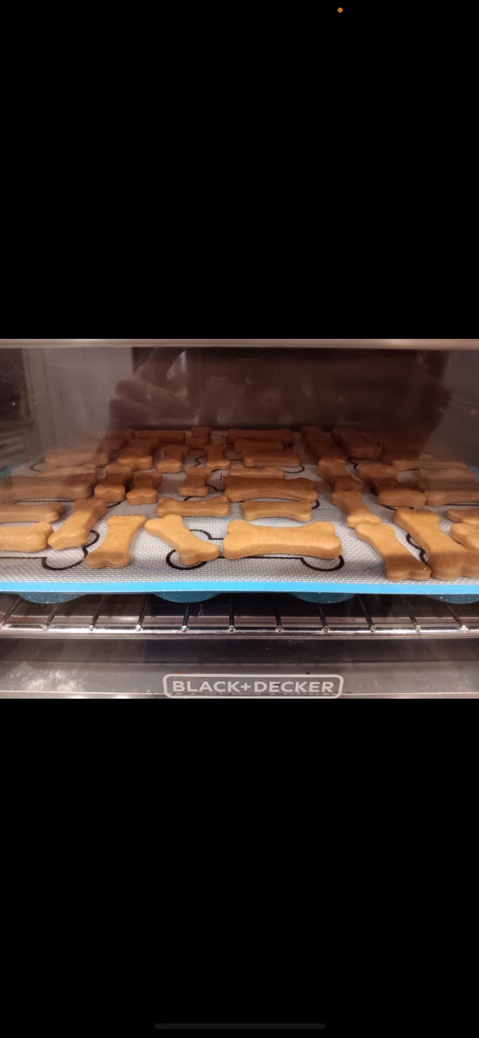 Amazon.com : Simply Unleashed Dog Treat Silicone Pastry and Baking Mat ...