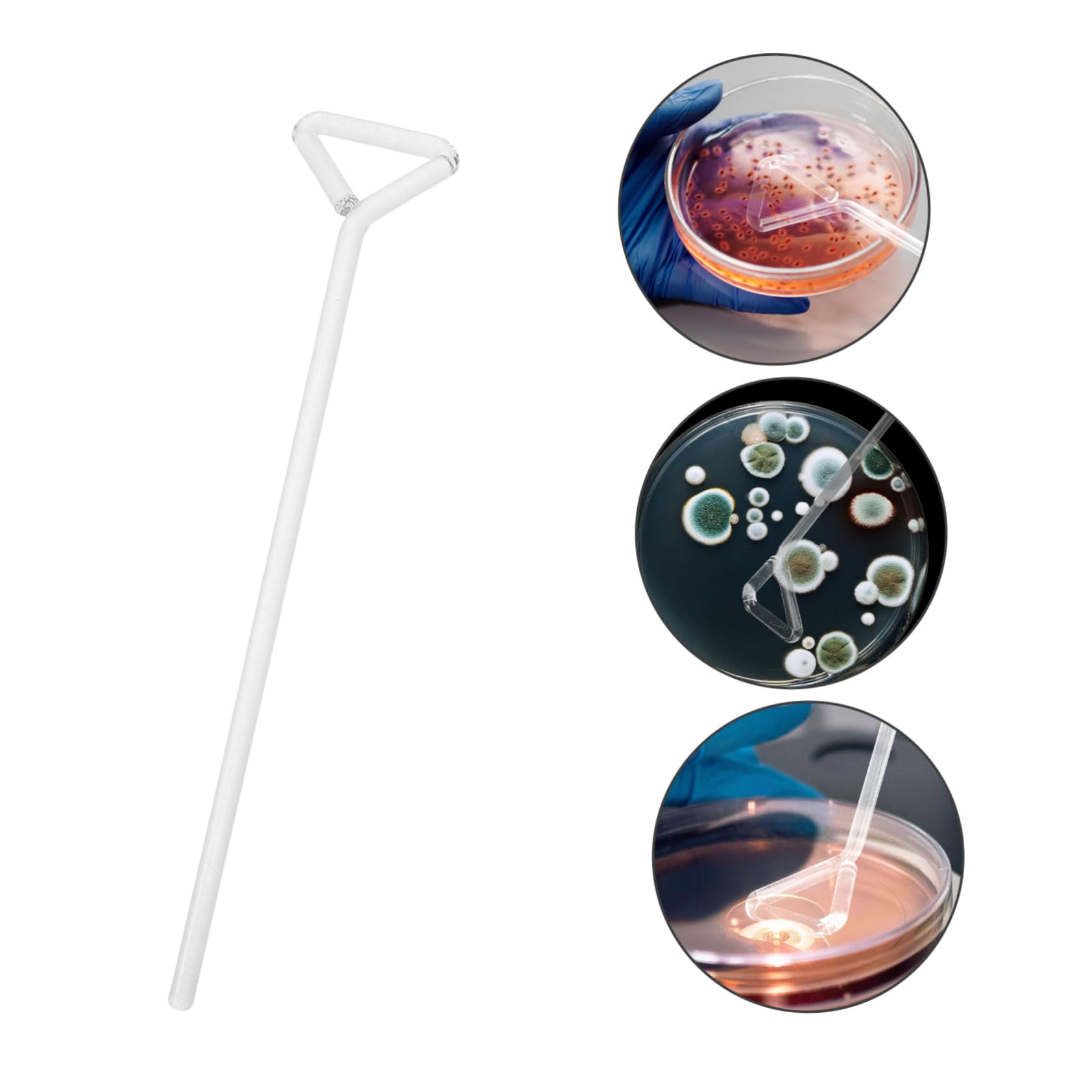 Laboratory Glass Tools SOLUSTRE Rods 4-Pack - Triangular Lab Spreaders ...
