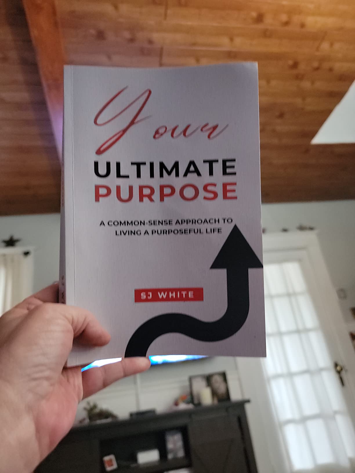 Your Ultimate Purpose: A common sense approach to living a purposeful ...