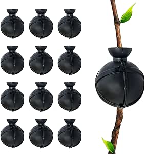 Amazon.com: 12 PCS Tree Root Growing Box, Plant Rooting Propagation ...