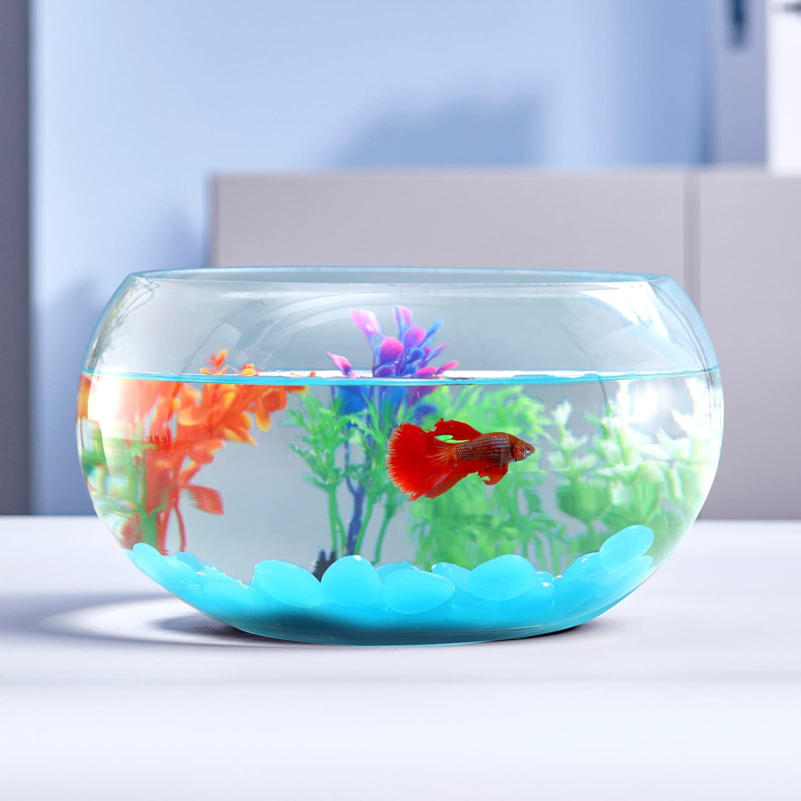 LAQUAL 1 Gallon Glass Fish Bowl with Decor, Include Fluorescent Rocks ...