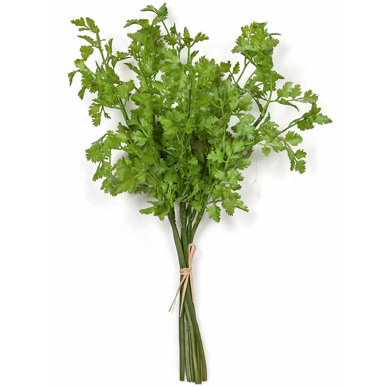 Amazon.com: SilksAreForever 16inch Real Touch Artificial Cilantro Herb ...