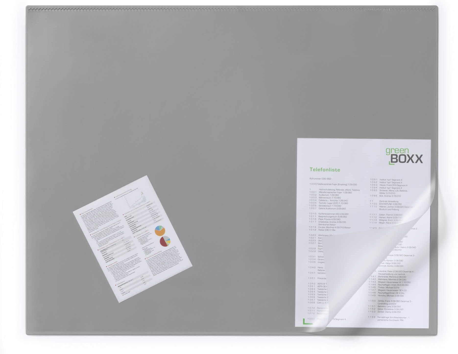Durable Desk Pad with Transparent Overlay, 19.75 x 27.50 Inches, Light ...