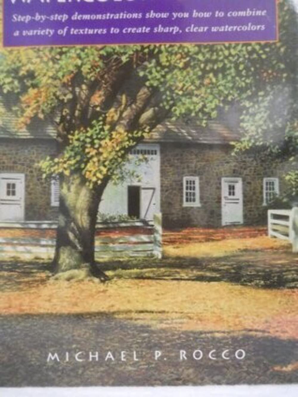 Painting Realistic Watercolor Textures: Rocco, Michael P ...