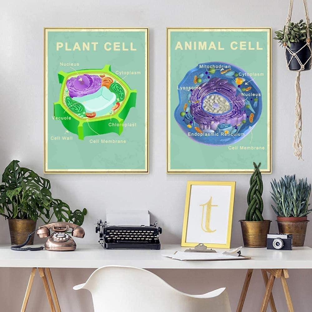 Kule Biologi Plakater Biology Poster Etsy Nederland