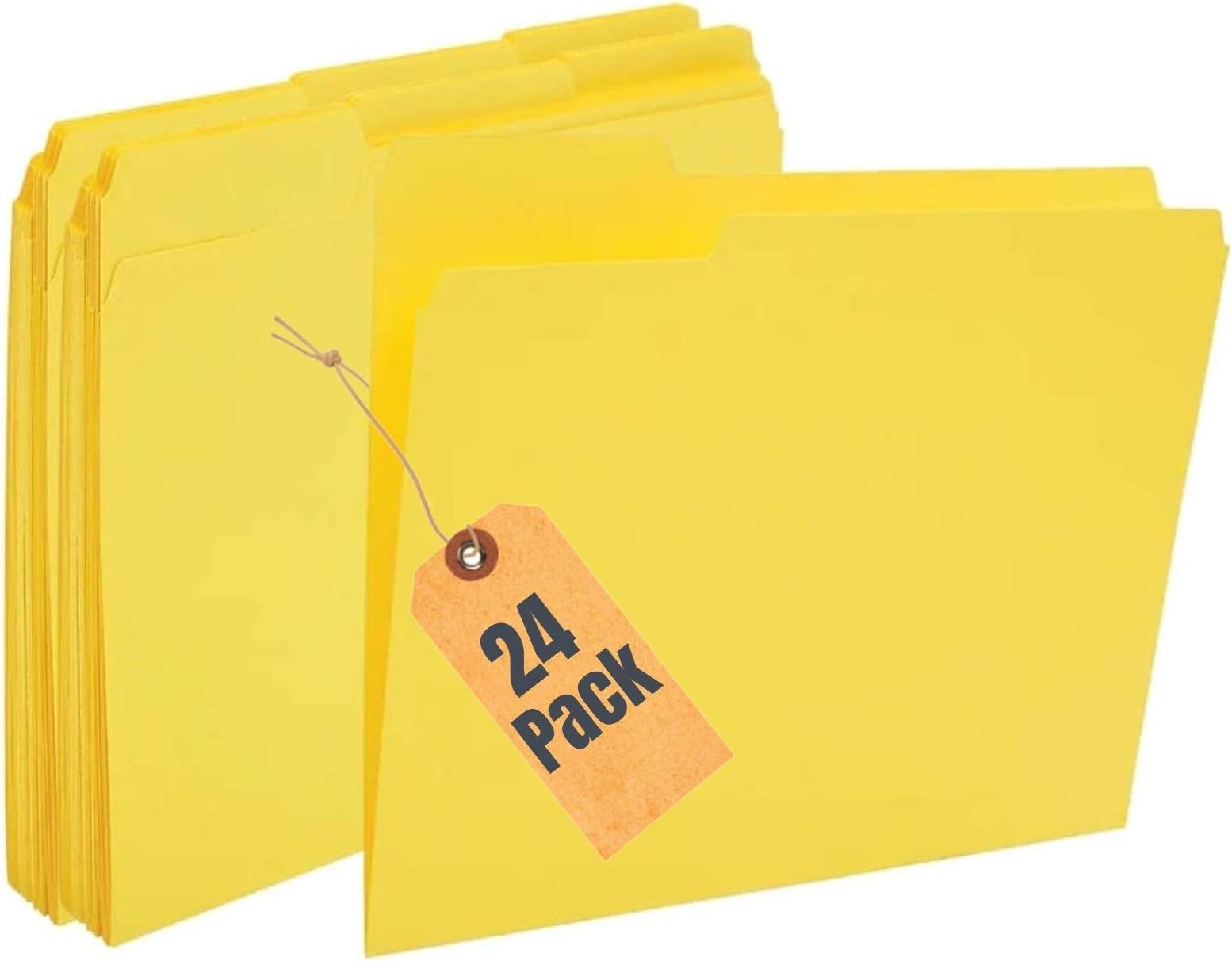 Amazon.com : 1InTheOffice Orange File Folder, Durable Folder, File ...