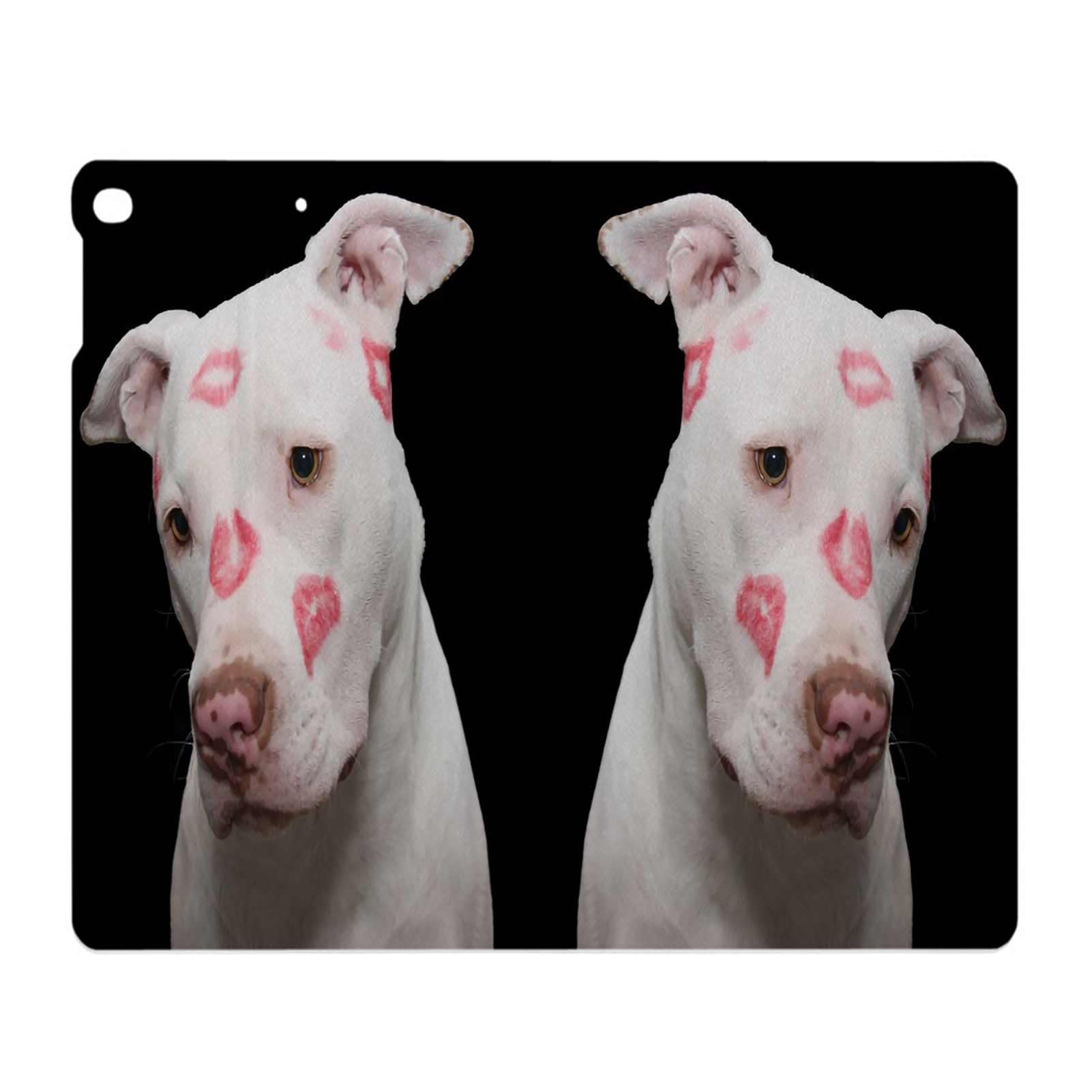 Pitbull Back In The Day