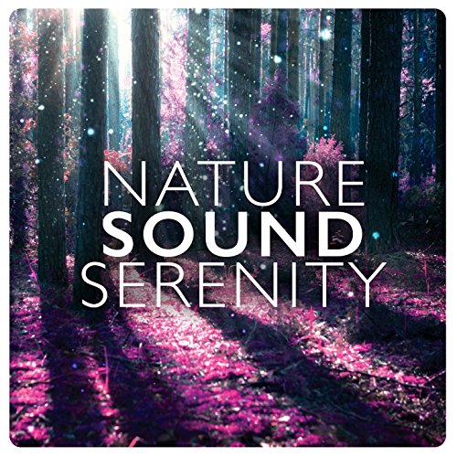 Play Nature Sound Serenity by Natural Sounds & Nature Sound Collection ...