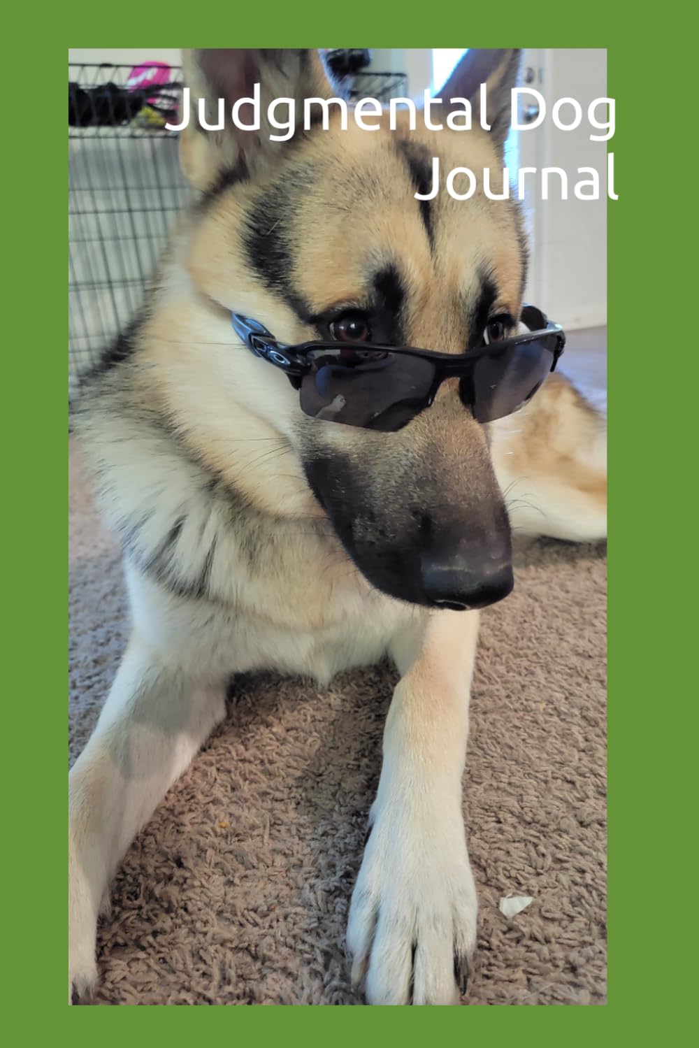 Judgmental Dog