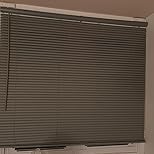Amazon.com: PowerSellerUSA 1" Slats Cordless Window Blinds, 64L x 36W ...