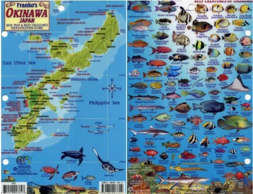 Buy By Franko s Ltd. Okinawa Japan Dive & Reef Creatures Guide Franko s ...