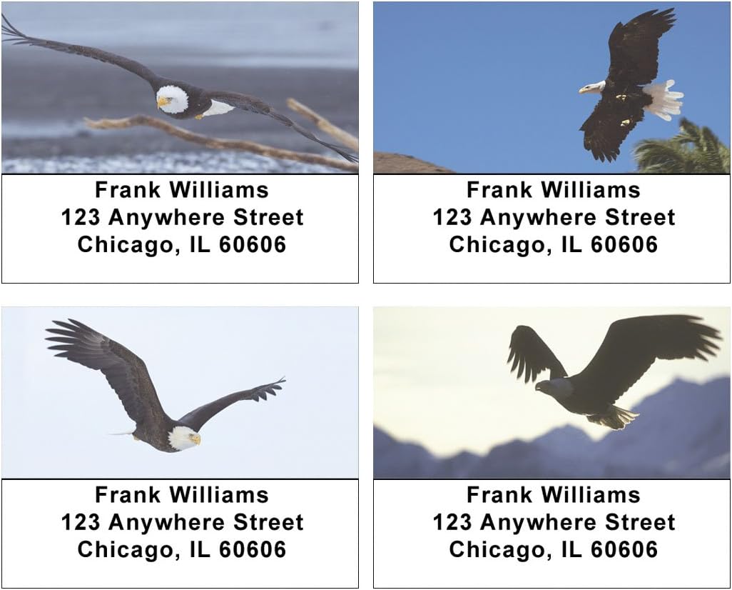 Amazon.com : Bald Eagle in Flight Address Labels : Office Products