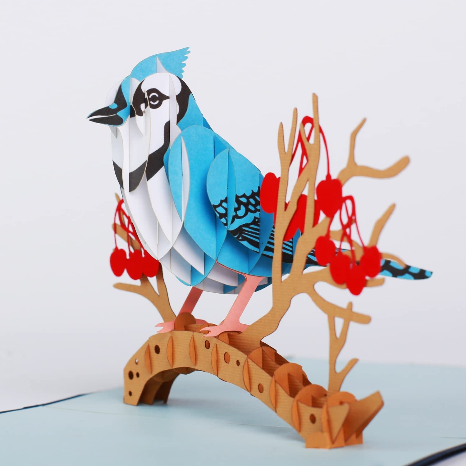 Cute Blue Jay Bird Drawing