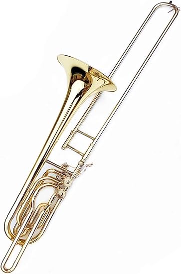 Amazon.com: B Flat Brass Trombone, with Case, Gold Finished ...