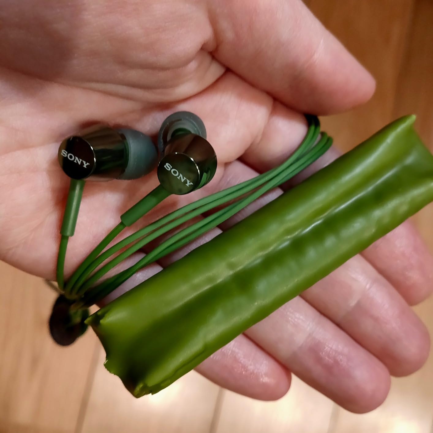 Amazon.co.jp: ソニー(SONY) 有線イヤホン MDR-EX155 : カナル型 ブラック MDR-EX155 B : 家電＆カメラ
