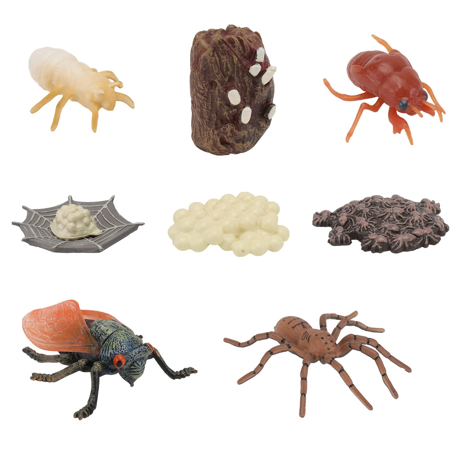 Buy TOPBATHY 2 Sets of Insect Figurines Life Cycle of Spider and Growth ...