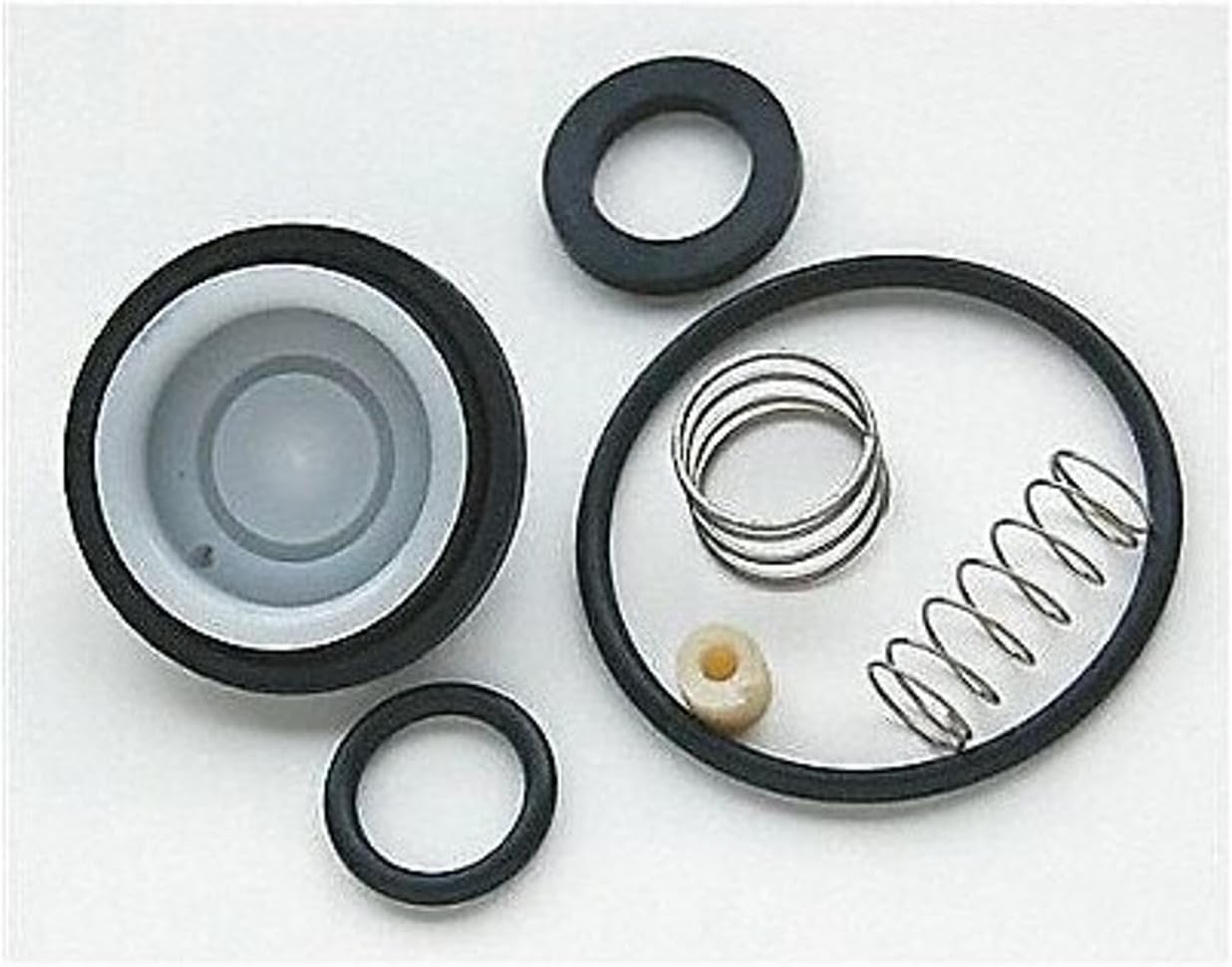 Amazon.com: Speakman RPG76-0039 6Vdc/12Vdc Sensorflow Solenoid Repair ...