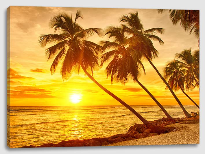 Amazon.com: alottagifts Palm Tree Sunset Lighted Canvas Wall Art Print ...