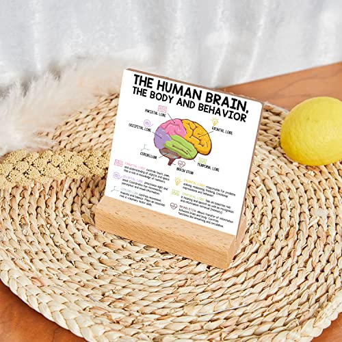 Snapklik.com : Human Brain Body Behavior Teaching Sign, Gift For ...
