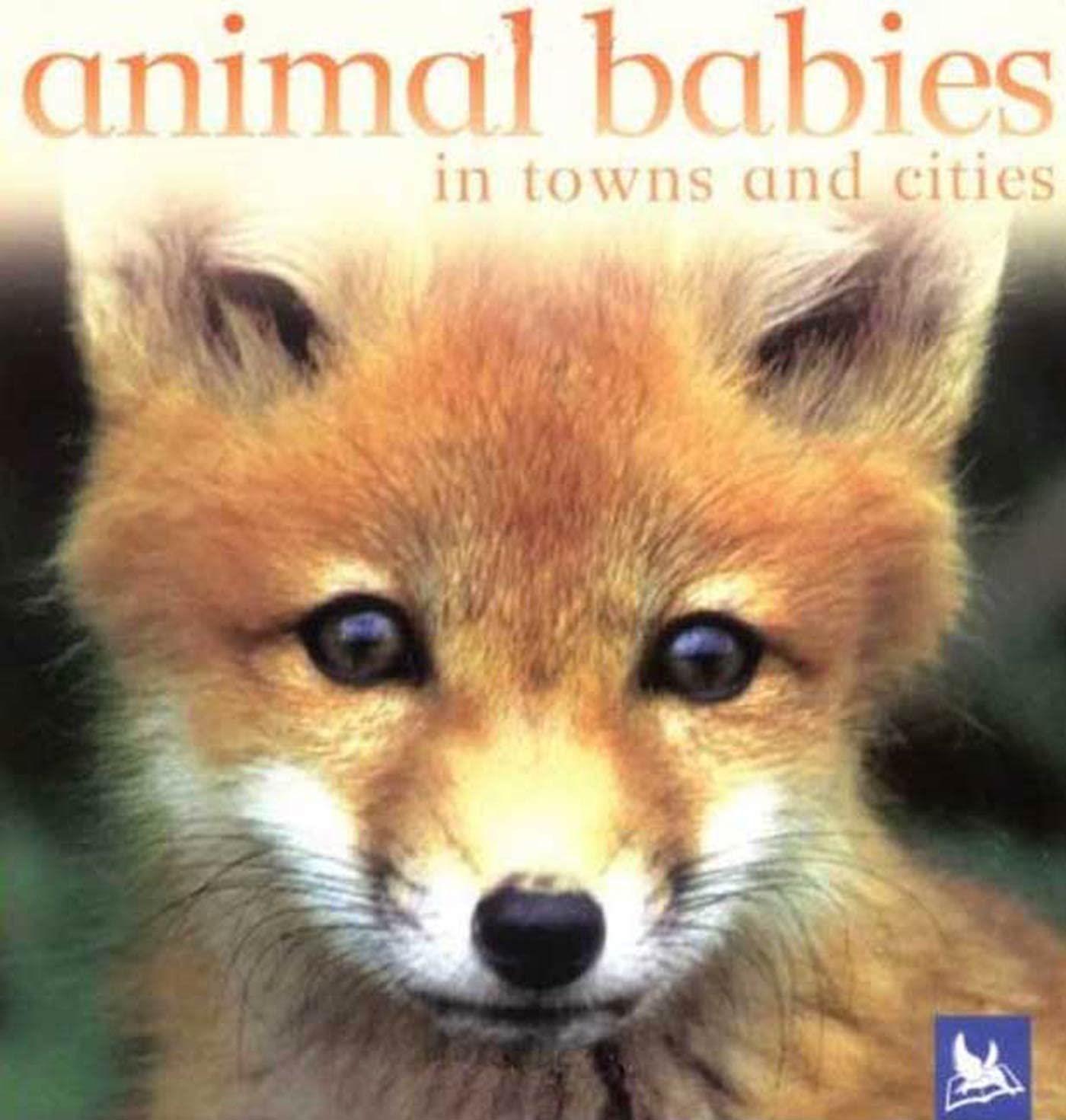 Animal Babies in Towns and Cities: Editors of Kingfisher: 9780753458419 ...