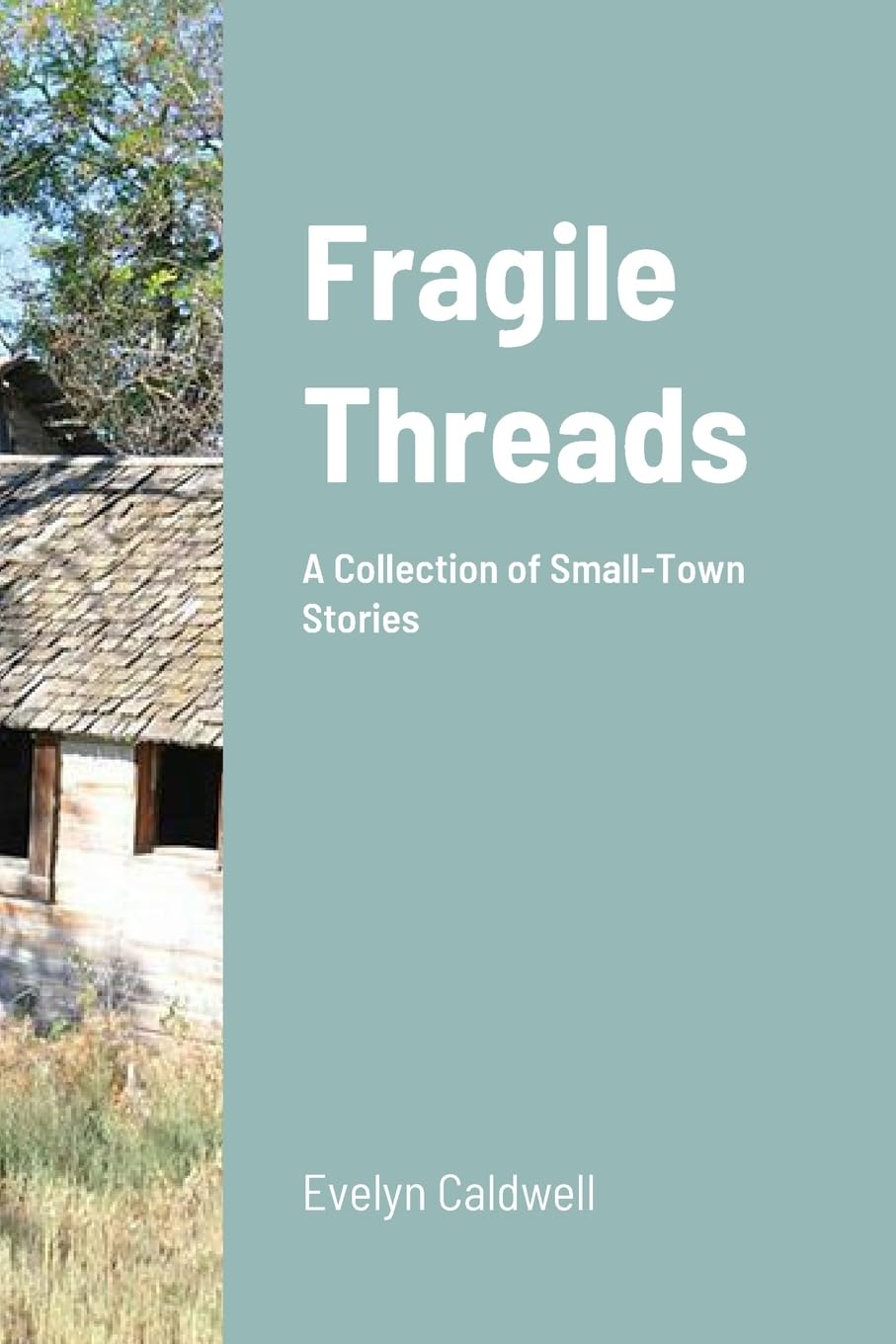 Fragile Threads: A Collection of Small-Town Stories: Caldwell, Evelyn ...