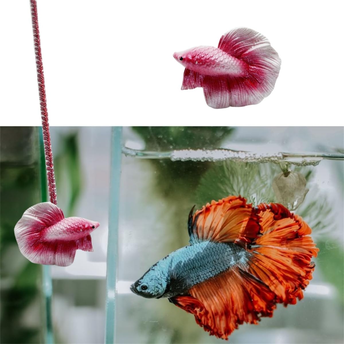 Betta Fish Flare Toy