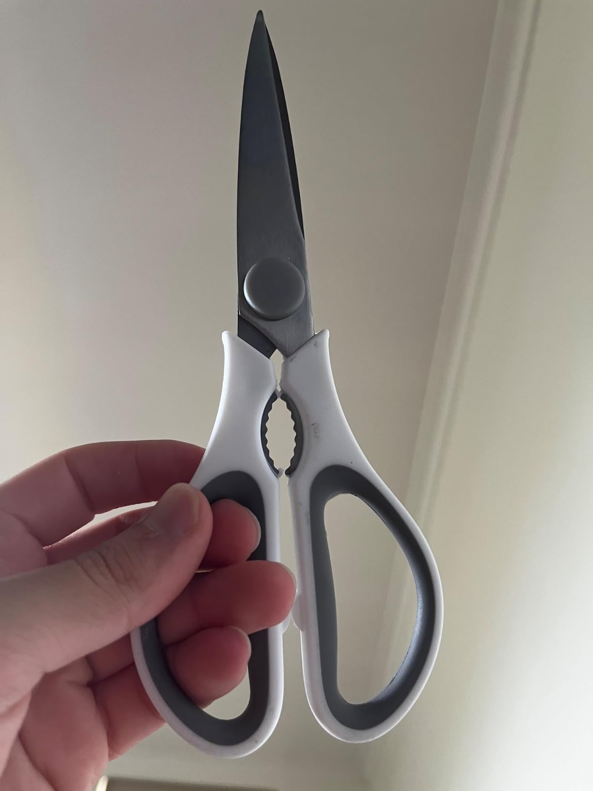 Home Master Stainless Steel Kitchen Scissor with Cover, 20 cm Length ...