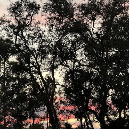 Amazon.co.jp: Seem Right : Dylan Droll: Digital Music