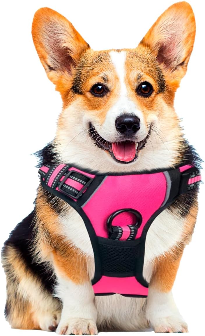 E-PETS Pechera Arnes para Perro Grande Mediano Chico | Pechera ...