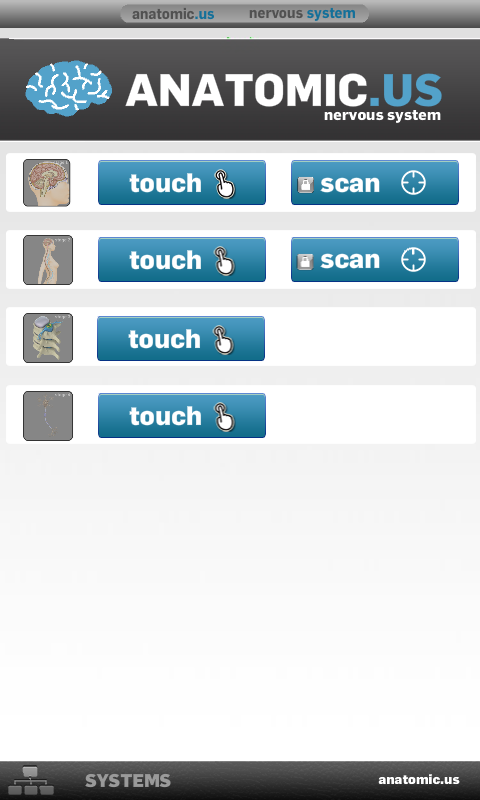 NERVOUS ANATOMY GAME - App on Amazon Appstore