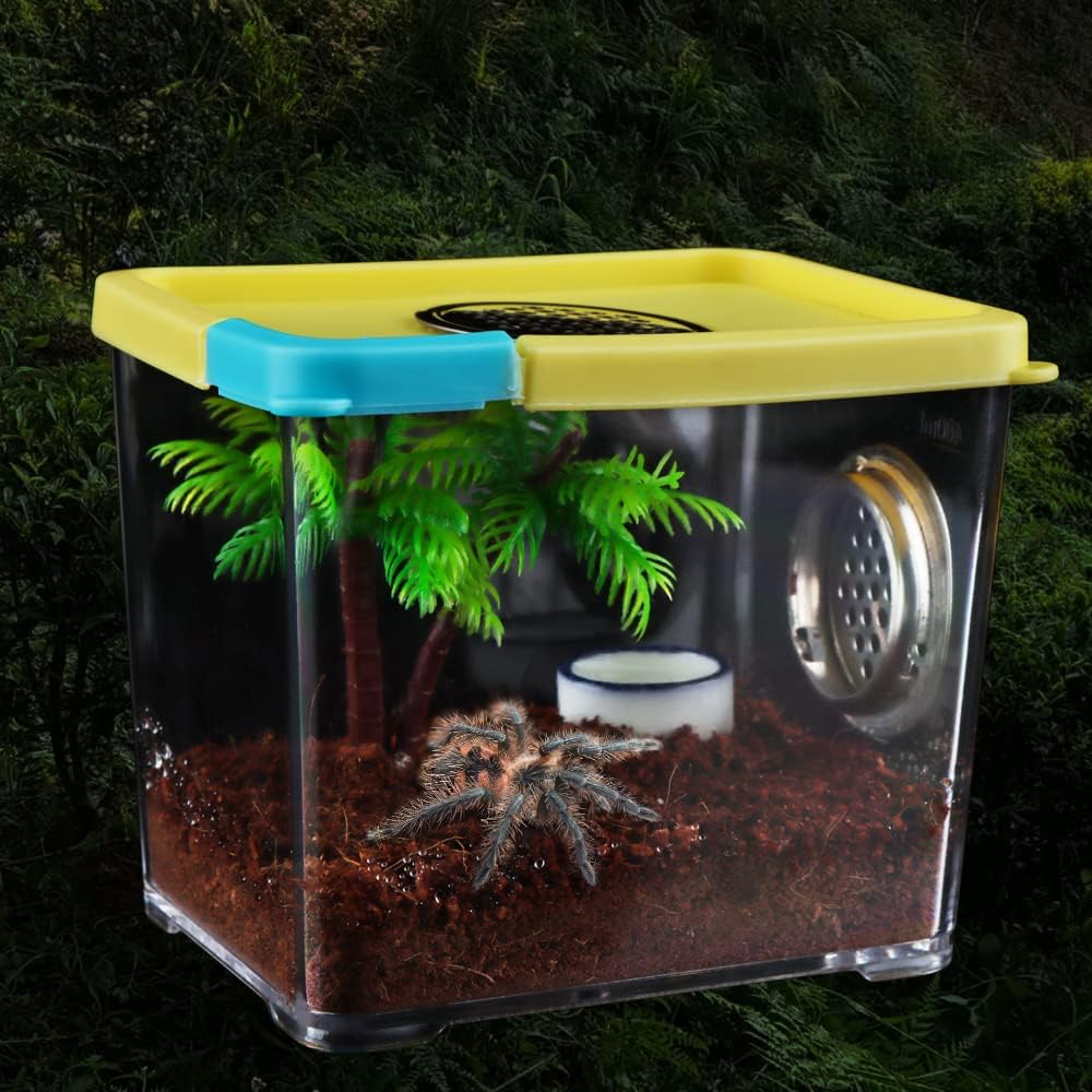 Amazon.com : Spider Breeding Box Tarantula Transparent Feeding Box ...