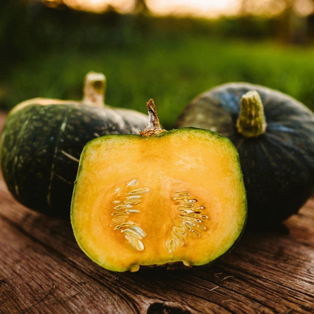 Amazon.com : Burgess Buttercup Squash - 25 Seeds - A New England ...