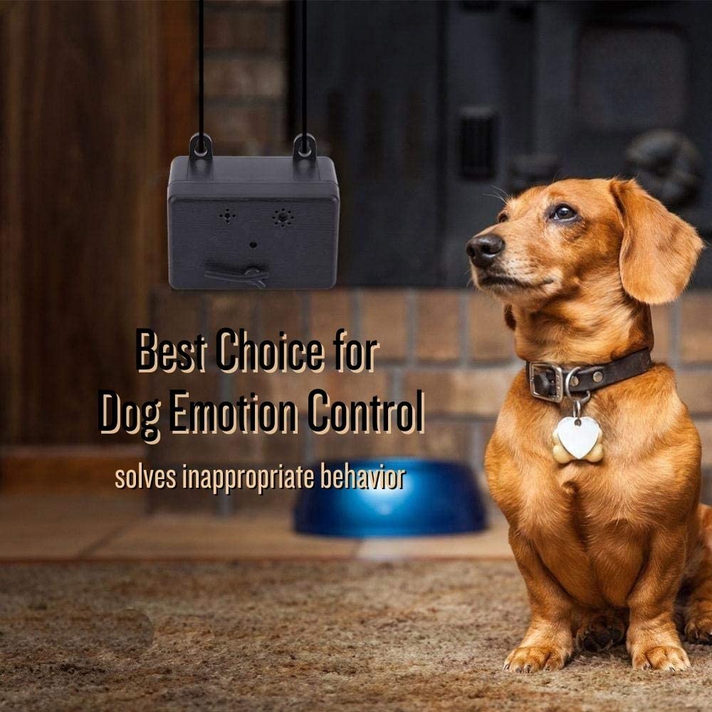 What Is The Best Dog Silencer On The Market