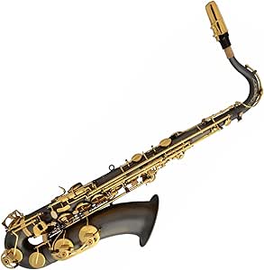Amazon.com: Saxophone Musical Instruments Professional Brass Body Tenor ...