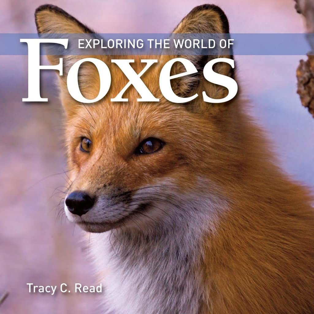 Real Life Tails The Fox