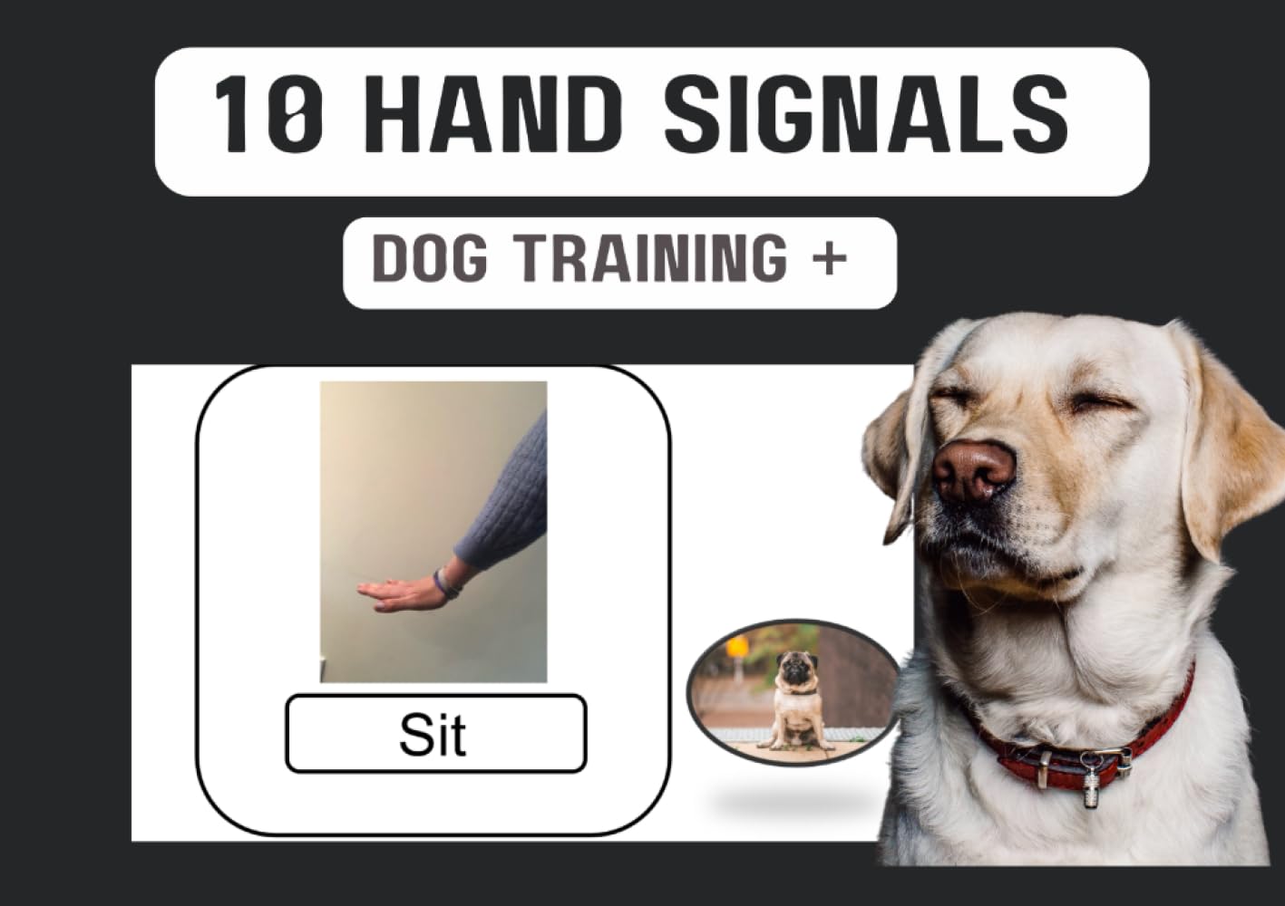 Basic Dog Obedience Hand Signals