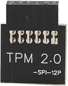 TPM2.0 Encryption Security Module for GIGABYTE Mainboard, SPI 12Pin ...