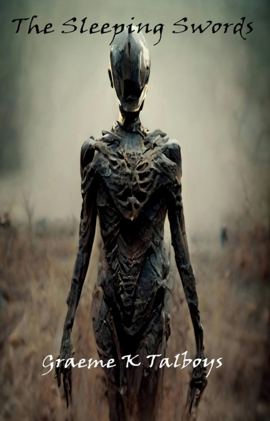 Amazon.com: The Sleeping Swords: 9781909295254: Talboys, Graeme K: Books