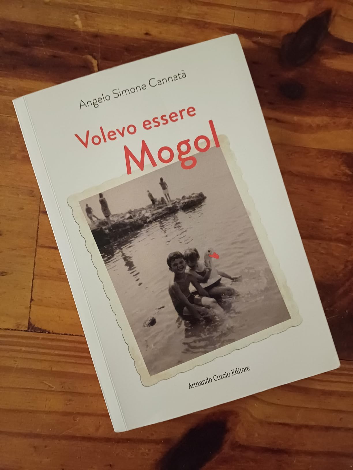 Amazon.it: Volevo essere Mogol - Cannatà, Angelo Simone, Campanile ...