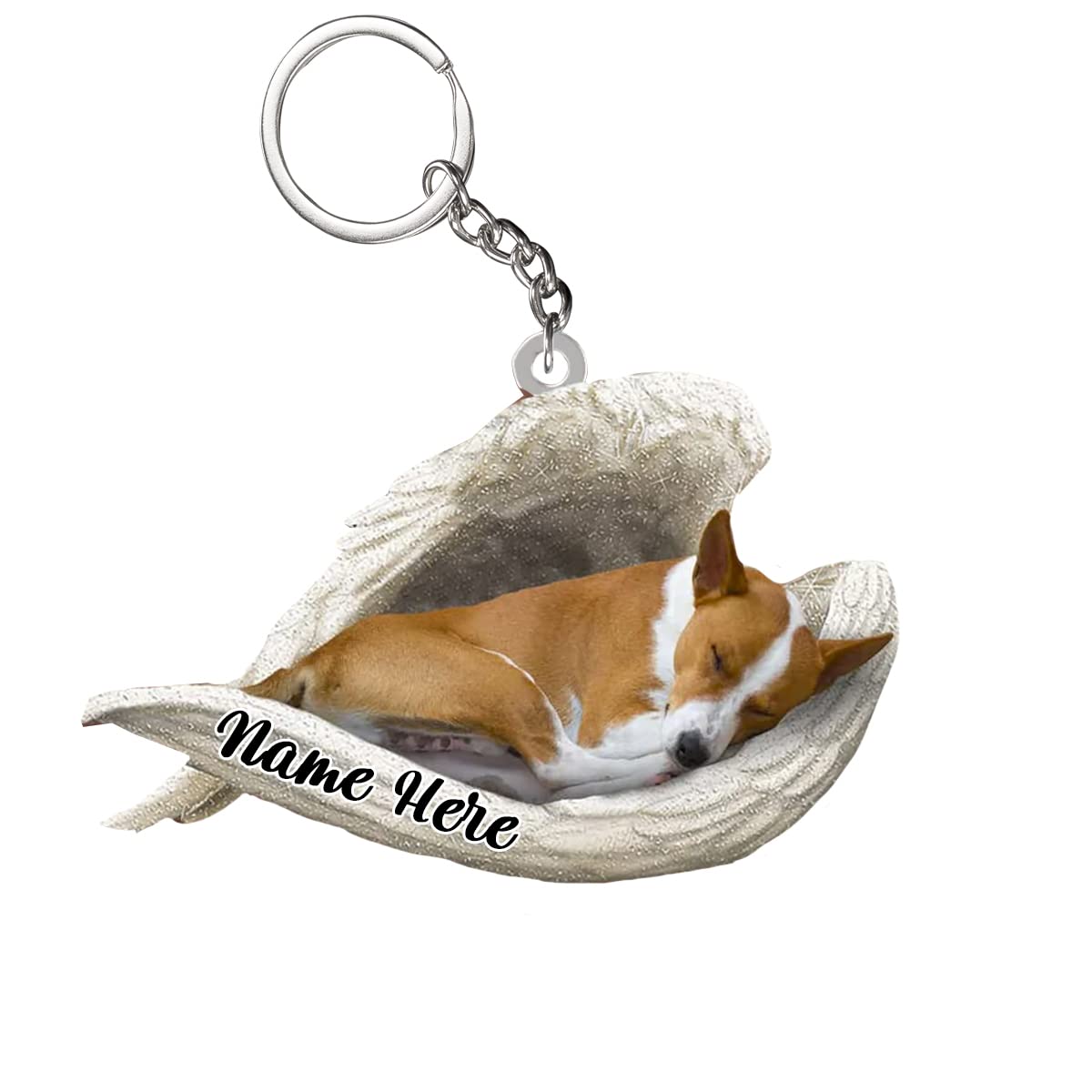 Where Does Your Basenji Sleep