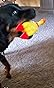 Amazon.com: 3pc Silly Screaming Chicken Set - Tactile Squeaky Chicken ...