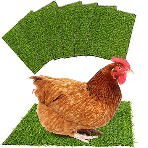 Best Poultry Grass 2022 Where to Buy? PoultryTalk.com