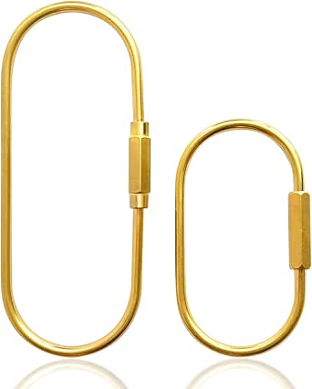 FULLGUEEN Brass Locking Keychain Carabiner, Key Clip for Purse Bag ...