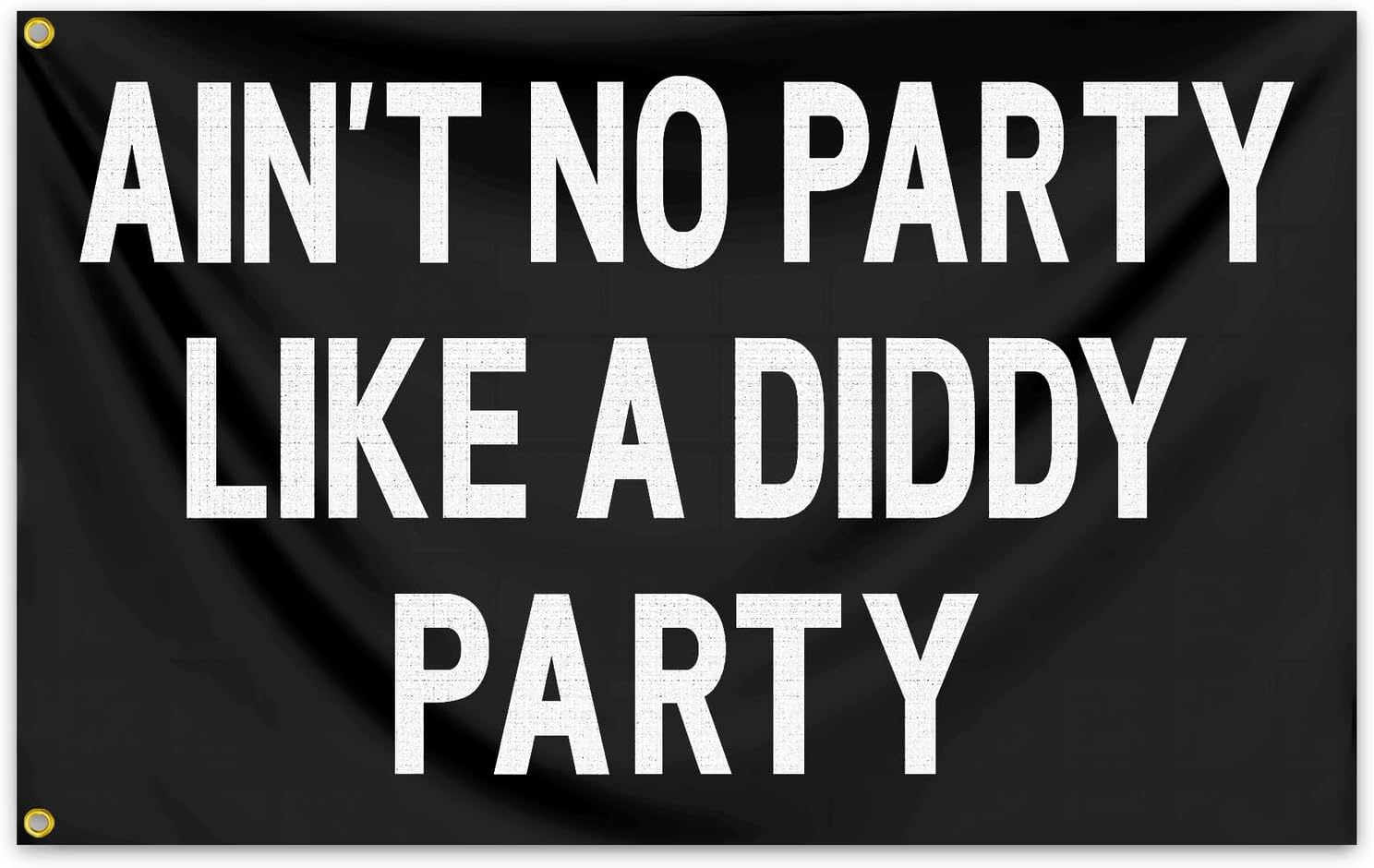 Amazon.com : Ain't No Partys Like A Diddys Partys Flag 3x5 Ft Funny Man ...