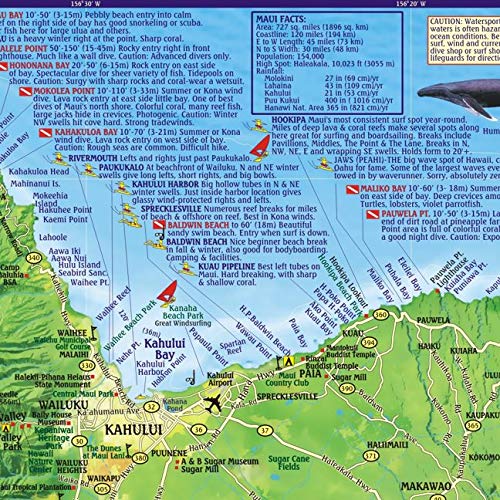 Snapklik.com : Maui Dive & Snorkeling Map Laminated Poster