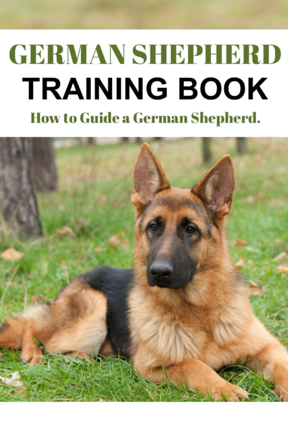 German Shepherd Training Book: How to Guide a German Shepherd: Blue ...