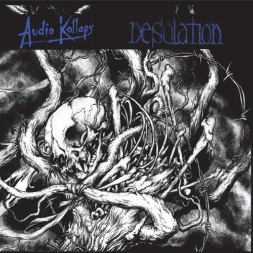 Audio Kollaps/Desolation : Audio Kollaps, Desolation: Amazon.es: CD y ...