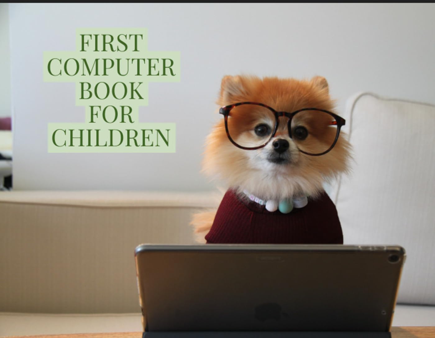 First Computer Book for Children eBook : Tringale, Susan: Amazon.in ...